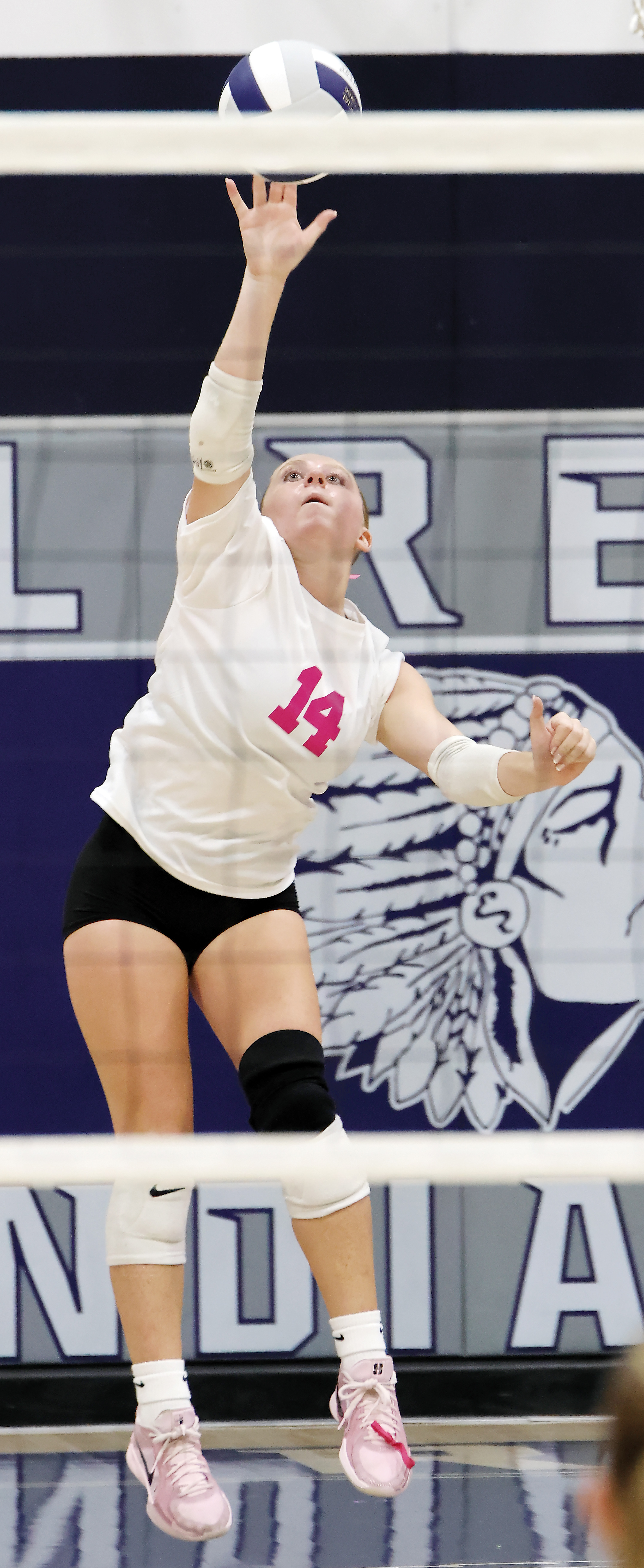 Spikers cage Bears, remain tied for lead in Suburban Conference | El ...