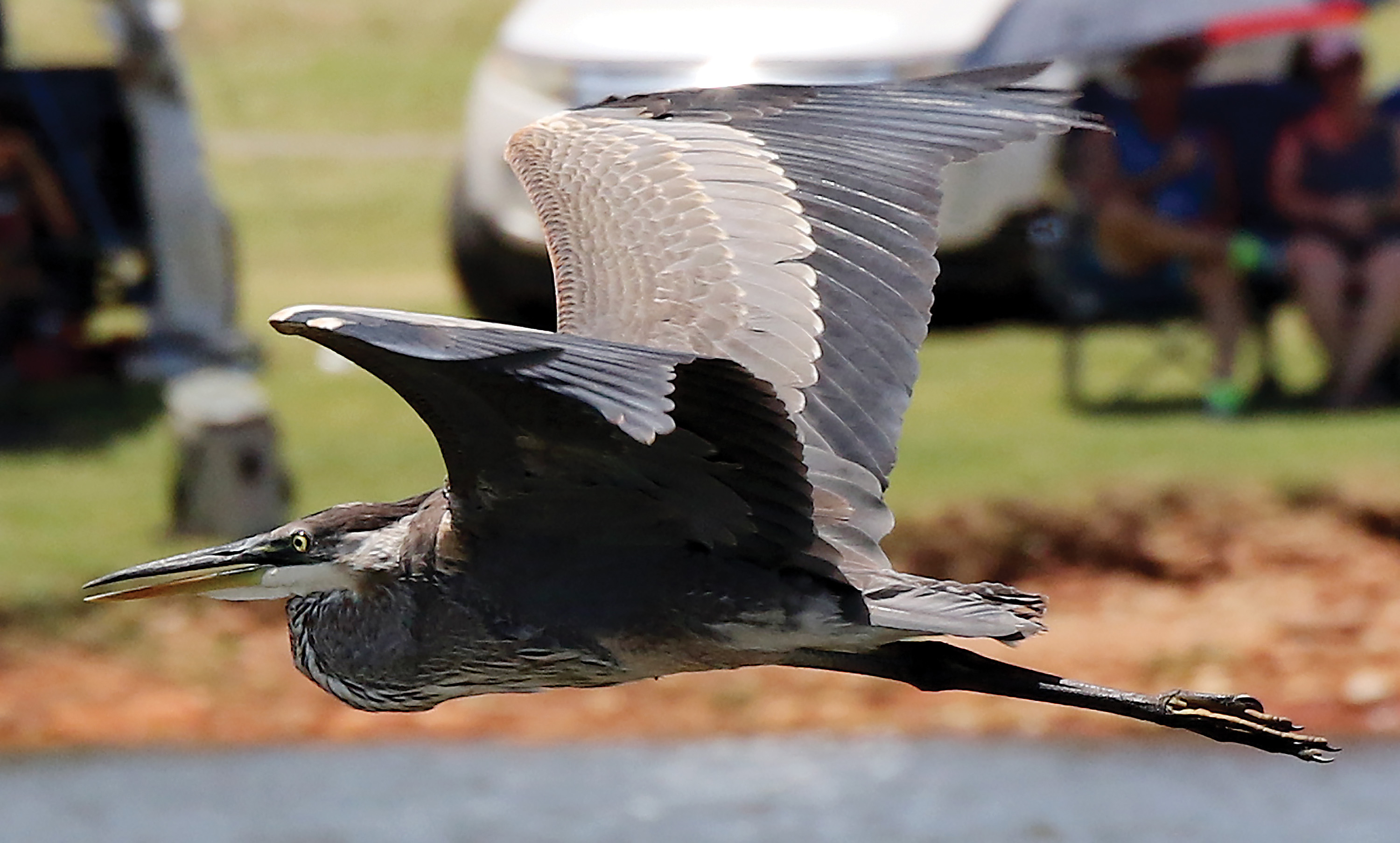 Bird’s-eye view | El Reno Tribune